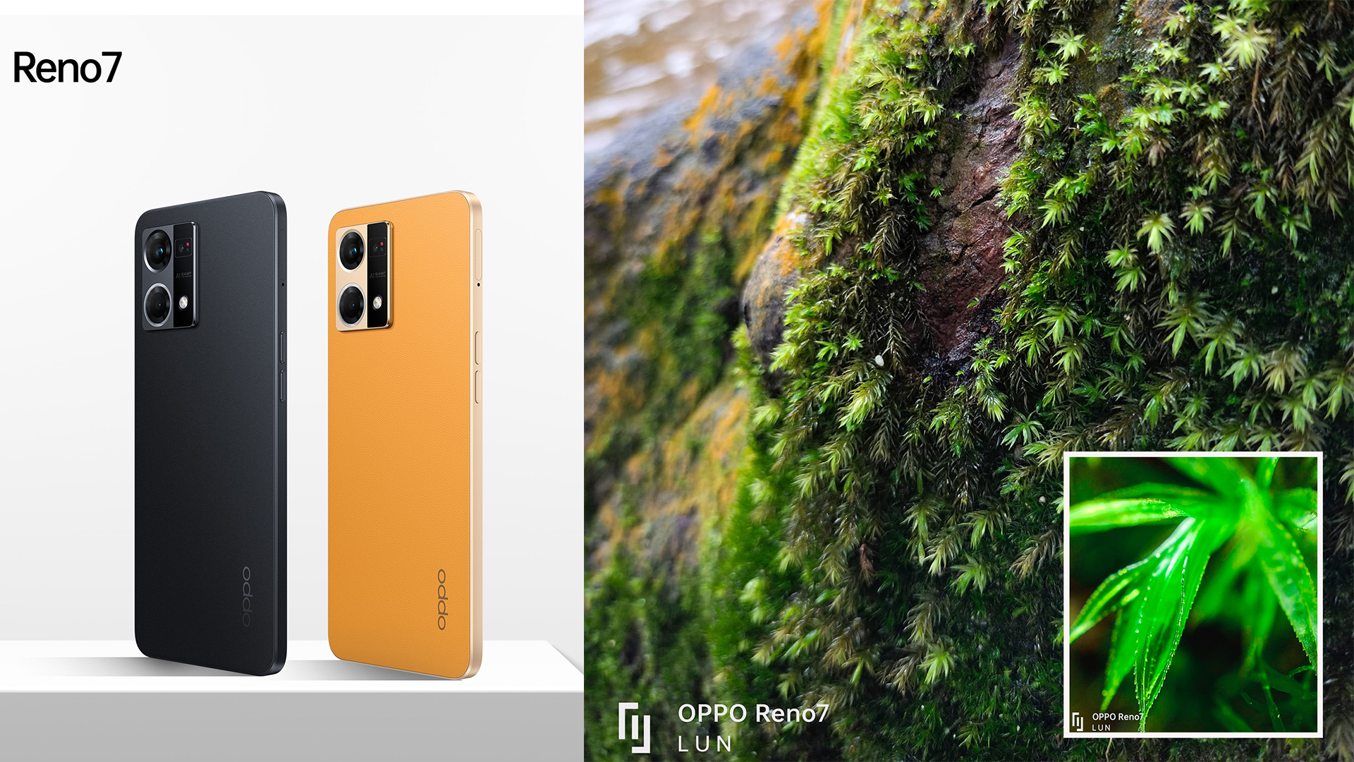 OPPO Reno7 ក្រៅពី «អ្នកជំនាញ Portrait» ហើយក៏នូវមានកាមេរ៉ា Microscope ...